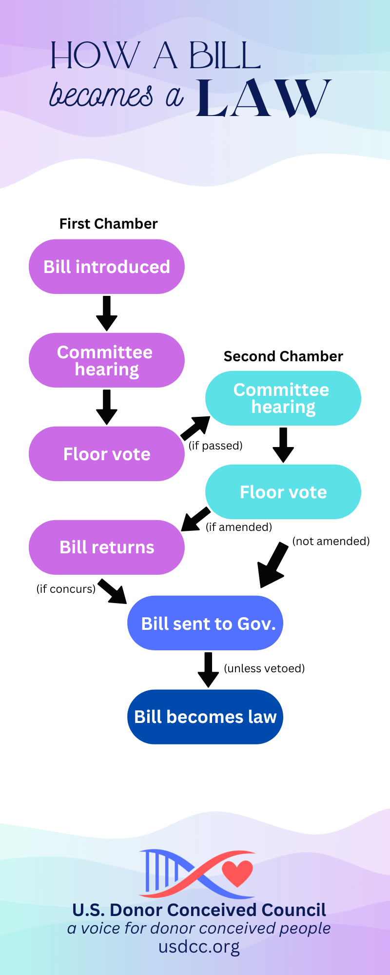 Making Law 101 - U.S. Donor Conceived Council